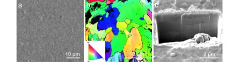 A And B Surface Microstructure And C Cross Sectional Microstructure Of