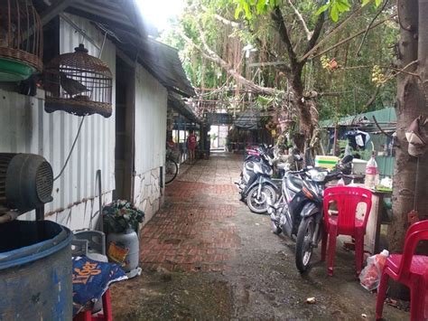 Vụ Vợ Bị đơn định Nhảy Lầu Tại Tand Tp Hcm Ông Phan Quý Rút đơn Kiện