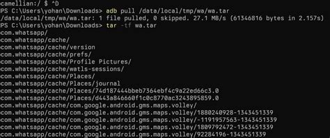 extracting whatsapp database or any app data from android 12 13 using
