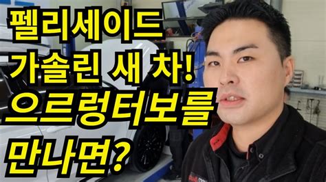 펠리세이드 가솔린 이 정도 새 차에도 탁월한 효과를 보장합니다 매월 1~15일 20 할인 12월까지 션킴모터스 으르렁터보 이벤트 Youtube