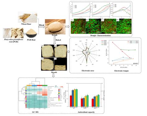 Enrichment Of Wheat Bread With Platycodon Grandiflorus Root Pgr Flour