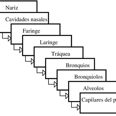 Block Diagram Of EEG System Download Scientific Diagram