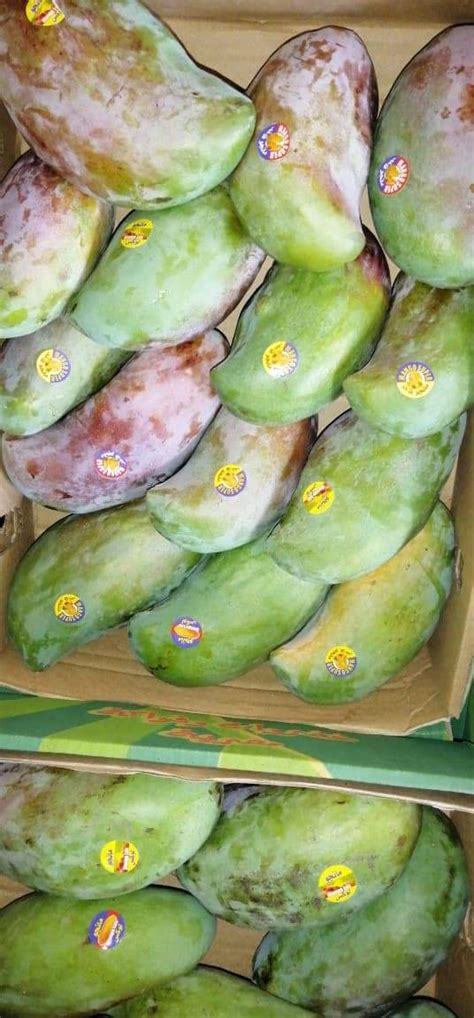 تحت التغريدة ثريد بأنواع المانجو مرفق بالصور👇 Thread From Abu Ayyash