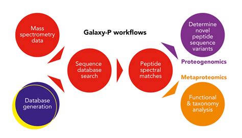 Open Source Bioinformatic Solutions For Big Data Analysis