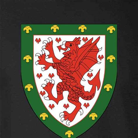 Download Wales National Football Team's Proud Shield Crest Wallpaper ...