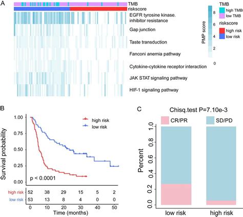 Prediction Of Clinical Outcomes With The Pathway Based Risk Score Model