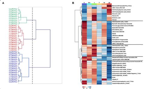 A Wards Agglomerative Hierarchical Clustering Of Infestation Download Scientific Diagram