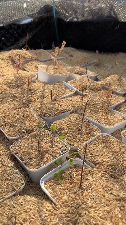 겨울이 지나고 봄이 오면 Youtube