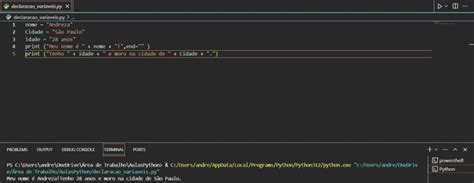 Python Programação Desenvolvimento Aprendizado Datascience Dados Andreza Ferreira