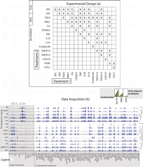 combinatorial experiment a design of the combinatorial experiment