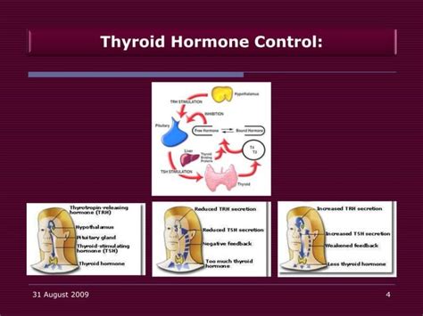 Hypothyroidism Treatment Strategies PPTX