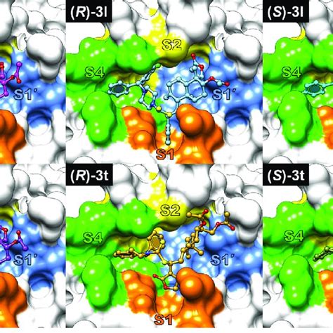 Binding Conformation Of Each Compound In The Active Site Of Sar Cov 2 M