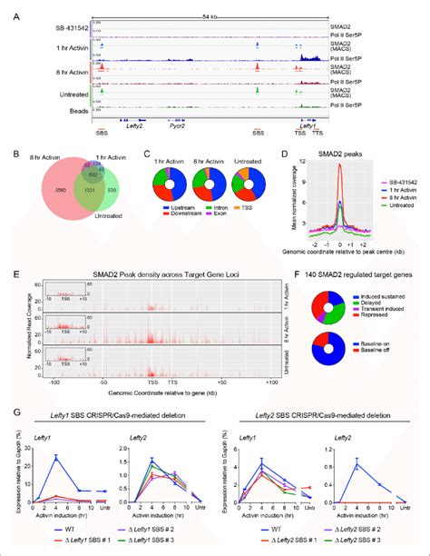 Combining Rna Seq With Chip Seq For Smad2 And Pol Ii Leads To The