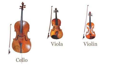 Occasional Brass And Strings Planning Your Wedding Or Event String