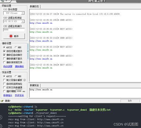 C 实现tcp服务端（select、poll、epoll）c Tcpserver Csdn博客