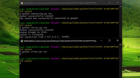 GitHub Socket Programming