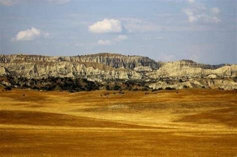 ვაშლოვანის ნაკრძალი