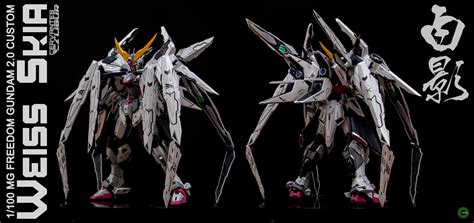 custom build mg 1 100 freedom gundam weiss skia