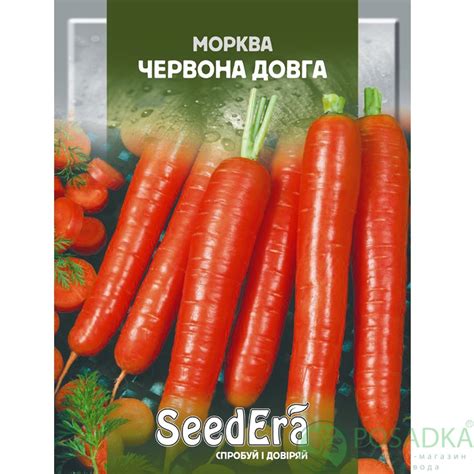 Насіння Морква столова Червона довга 20 г, SeedEra - купити за ...