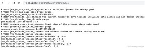 【监控利器prometheus】——prometheusgrafana监控springboot项目jvm信息 阿里云开发者社区
