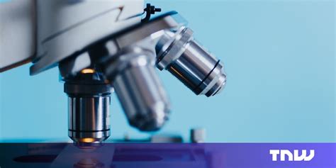 Cancer Patient Digital Twins And Ai Tapped To Turbocharge Oncology