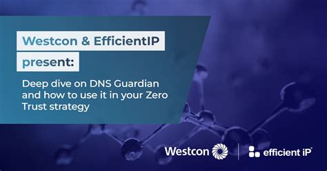 Zero Trust Is The Future Of Cyber Security And Efficientips Dns Guardian Is Your Ticket To