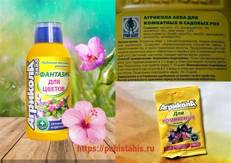 Лучшие удобрения для комнатных растений