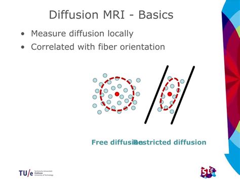 Ppt Finsler Geometry In Diffusion Mri Powerpoint Presentation Free