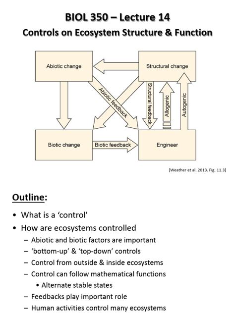 Biol 350 Lecture 14 Controls On Ecosystem Structure And Function Pdf