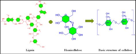 Figure 1 From A Chemometric Assisted Colorimetric Based Inexpensive Paper Biosensor For Glucose