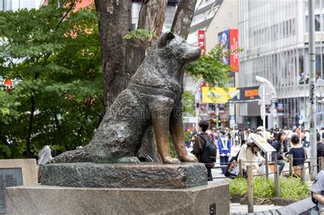 The Hachiko Statue In Shibuya Tokyo Editorial Stock Image Image Of