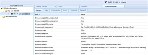 Getting Started With Beef On Kali Linux A Complete Guide Infosecscout