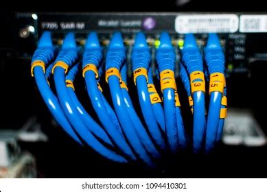 Internet Cable Line Plug Hub Switch Stock Photo Shutterstock