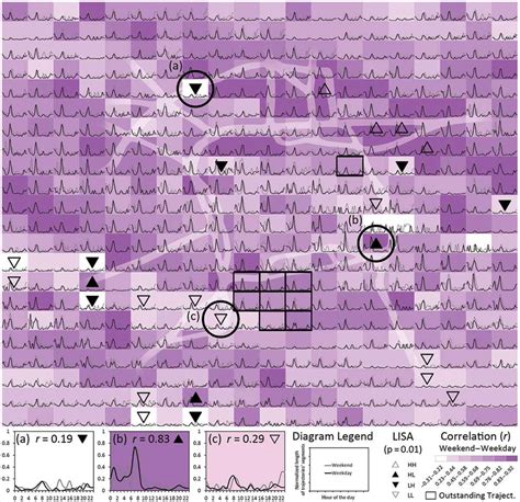 Spatiotemporal Patterns Of Variations Of Collective Human Activity