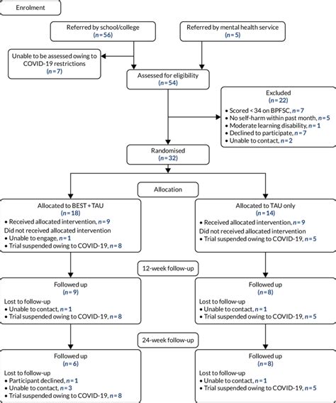 Consolidated Standards Of Reporting Trials Diagram For Feasibility