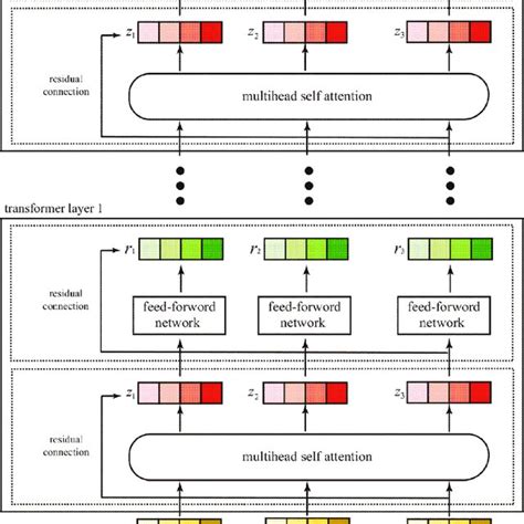 Illustration Of Transformer Layers Download Scientific Diagram