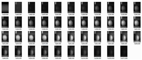 Algorithms Free Full Text Examination Of Lemon Bruising Using Different Cnn Based