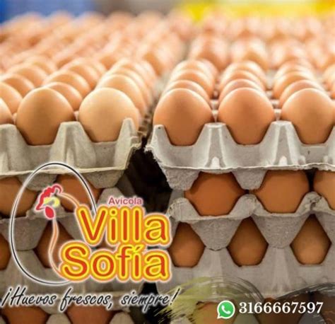 Avícola Villa Sofía Avicolavillasofia • Instagram Photos And Videos
