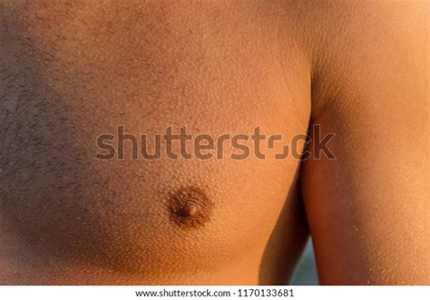 Male Nipple Close Stockfoto 1170133681 Shutterstock