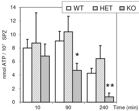 Time Dependent Decrease In Atp Levels In Ldhc Sperm A Values Are