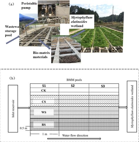 A Panorama Of Field Experiment B Schematic Diagram Of Bio Matrix