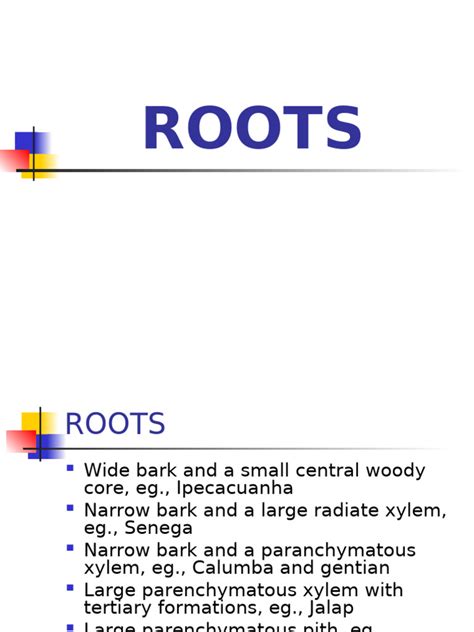 Root 3a Pdf Sugar Diet And Nutrition