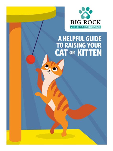 Kitten Welcome Kit Pdf