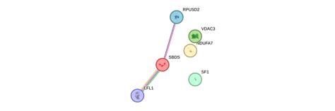 Sbds Gene Genecards Sbds Protein Sbds Antibody