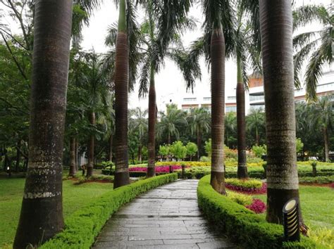 Wiprokochi Happiness Bindia George M 22 Comments