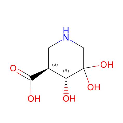 Rcsb Pdb 8ohv Crystal Structure Of Beta Glucuronidase From Acidobacterium Capsulatum In
