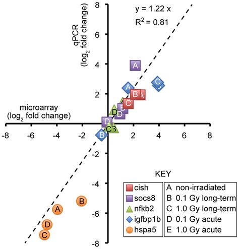 validation of microarray data by quantitative polymerase chain