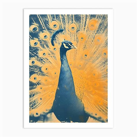 Blue And Orange Peacock Feathers Art Print By Featherline Fy