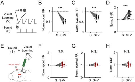 Contextual And Cross Modality Modulation Of Auditory Cortical Processing Through Pulvinar