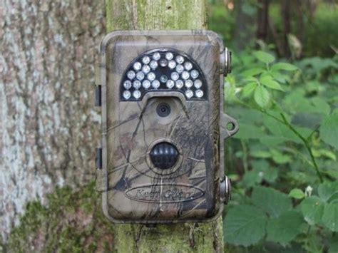 Nestboxtech Part 1 How To Make Your Own Raspberry Pi Trail Camera